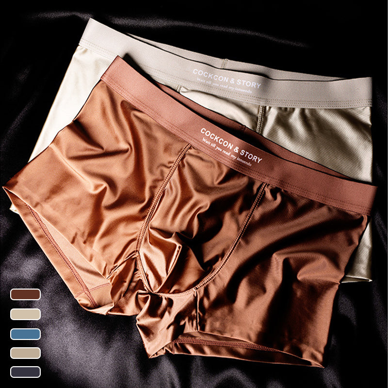 🔥BUY 2 GET 10% OFF🔥Men's Satin Ice Silk Briefs – anrdre
