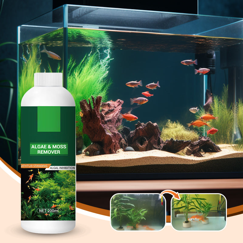 Algae & Moss Remover for Fish Tank - Safe Water Purification – anrdre