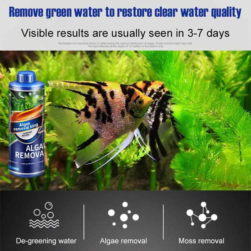【Algae King】Crazy Aquatic Weed Algae Remover – anrdre