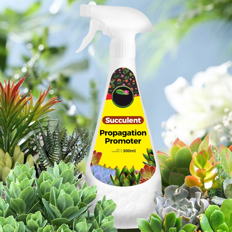 300ml Succulent Fertilizer Spray – anrdre